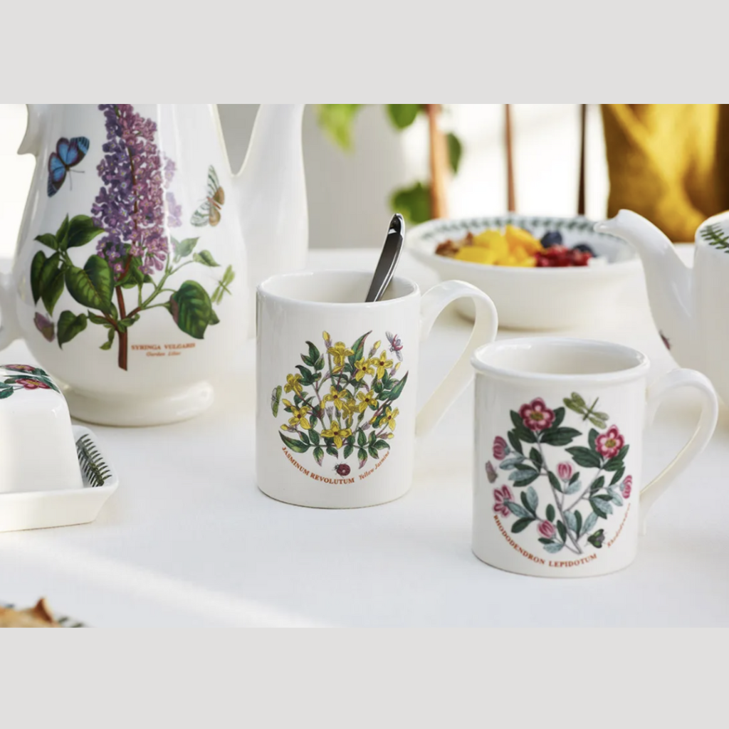 Portmeirion Botanic Garden Set of 6 Coffee Mugs – Best Quality ...