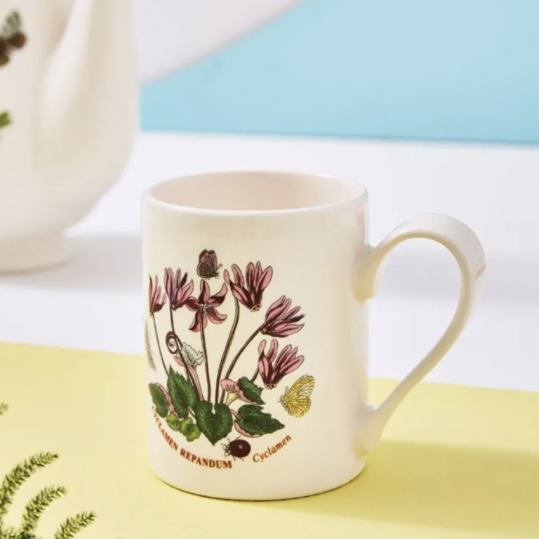 Portmeirion Botanic Garden Set of 6 Coffee Mugs – Best Quality ...