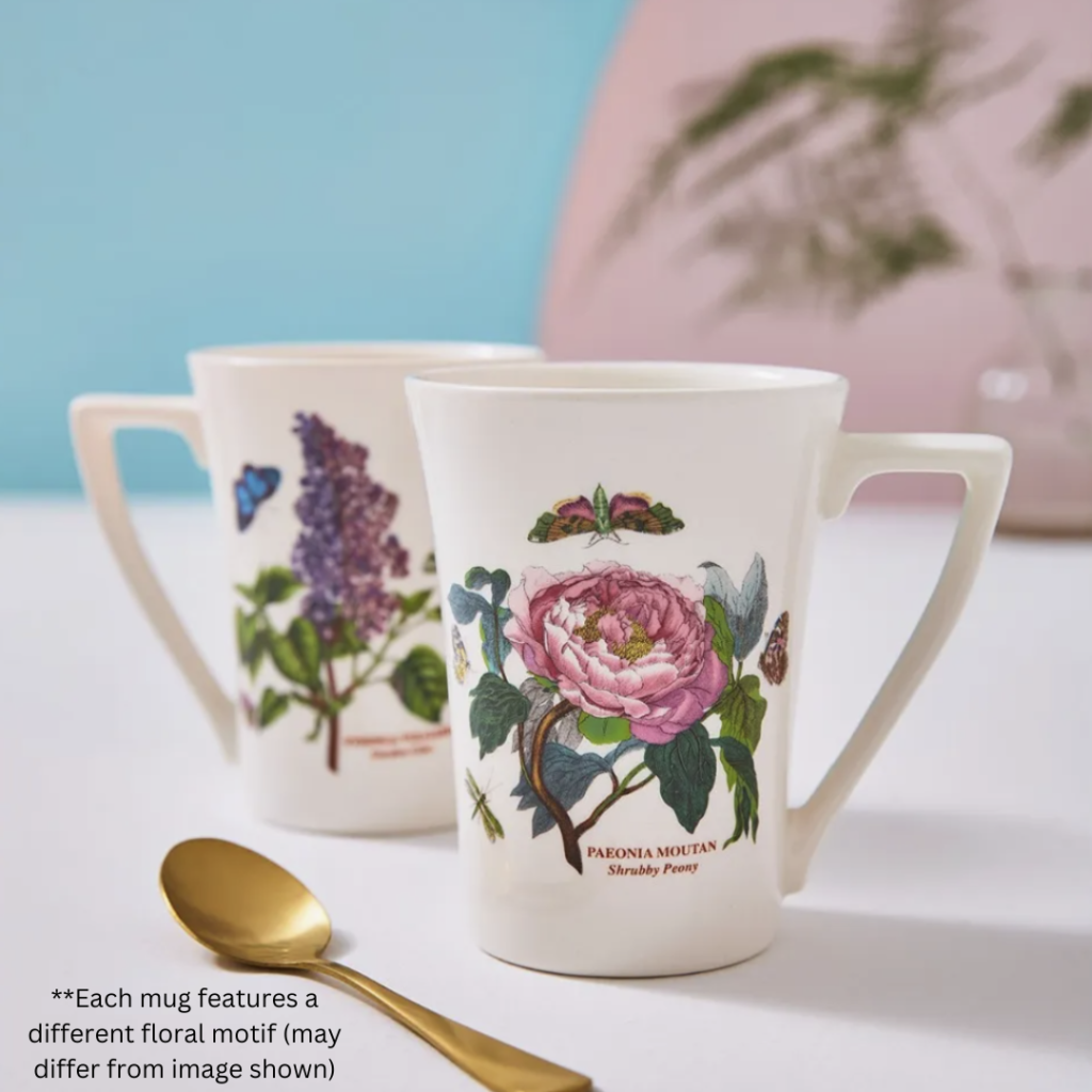 Portmeirion Botanic Garden Set of 2 Mandarin Mugs with Gift Box (Random ...